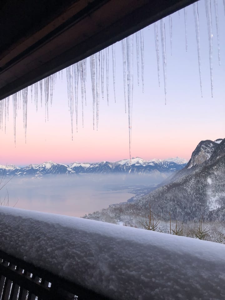 Chalet Avec Vue Lac Et Montagne - Thollon-les-Mémises