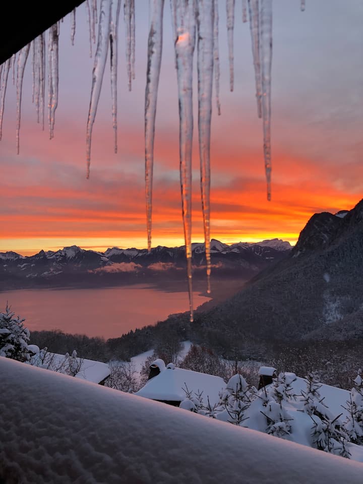 Chalet Avec Vue Lac Et Montagne - France