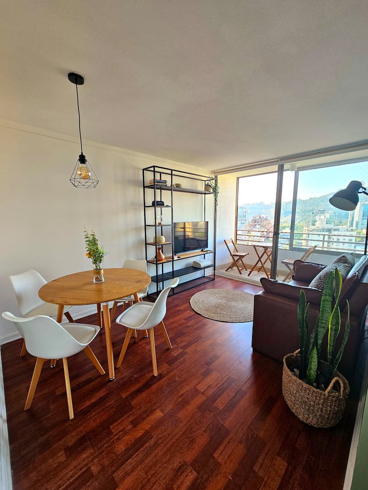 Departamento En Providencia - Providencia