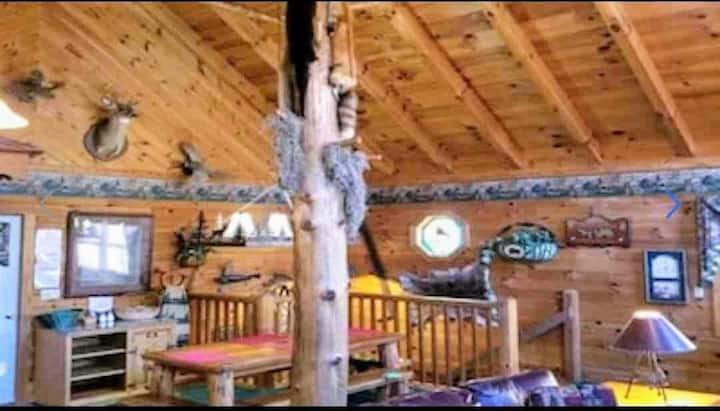 Racoon Treehouse Den - Pigeon Forge, TN