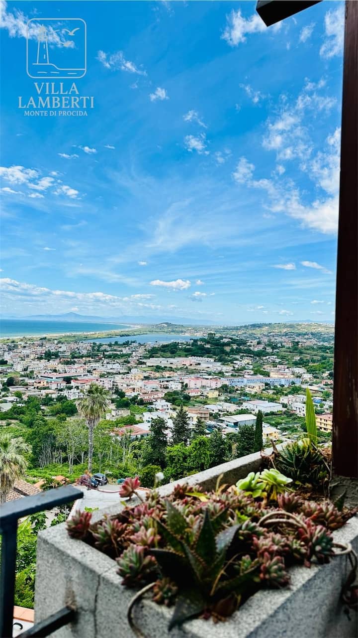 Lamberti Apartment - Procida