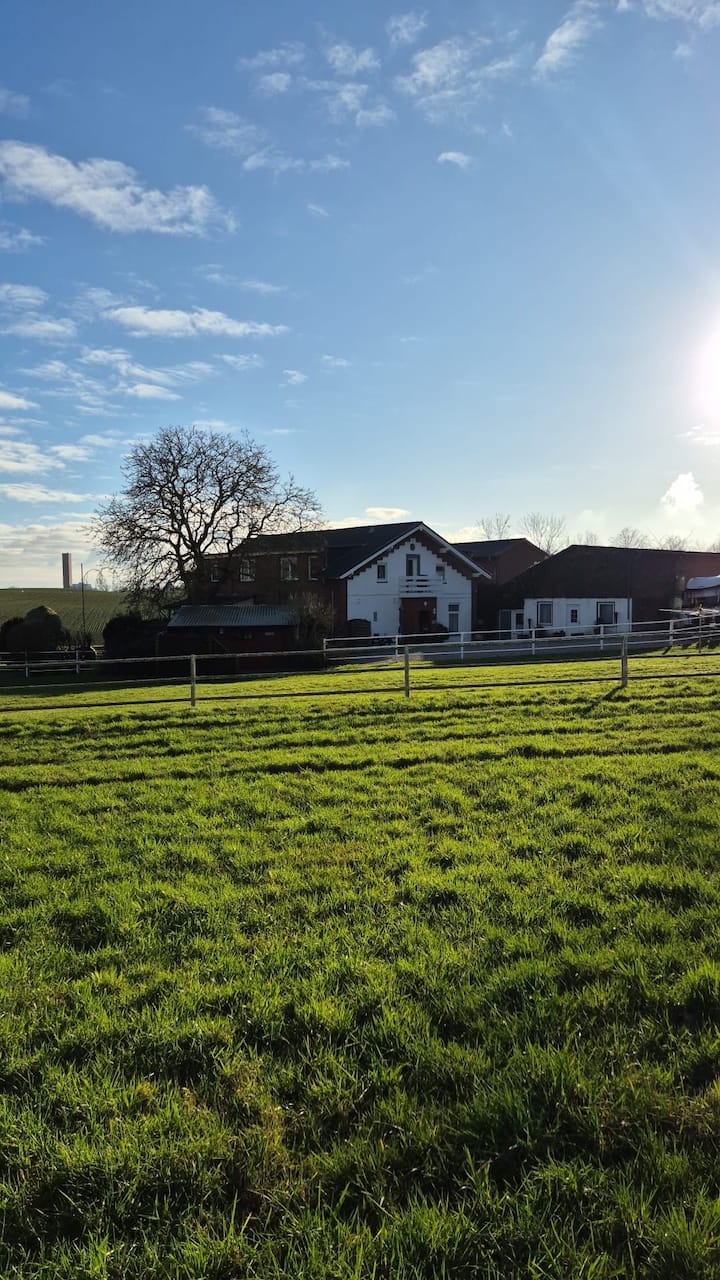 Möwennest Ferienwohnung - Sierksdorf