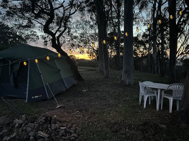 Kangaroo Camp - Tathra