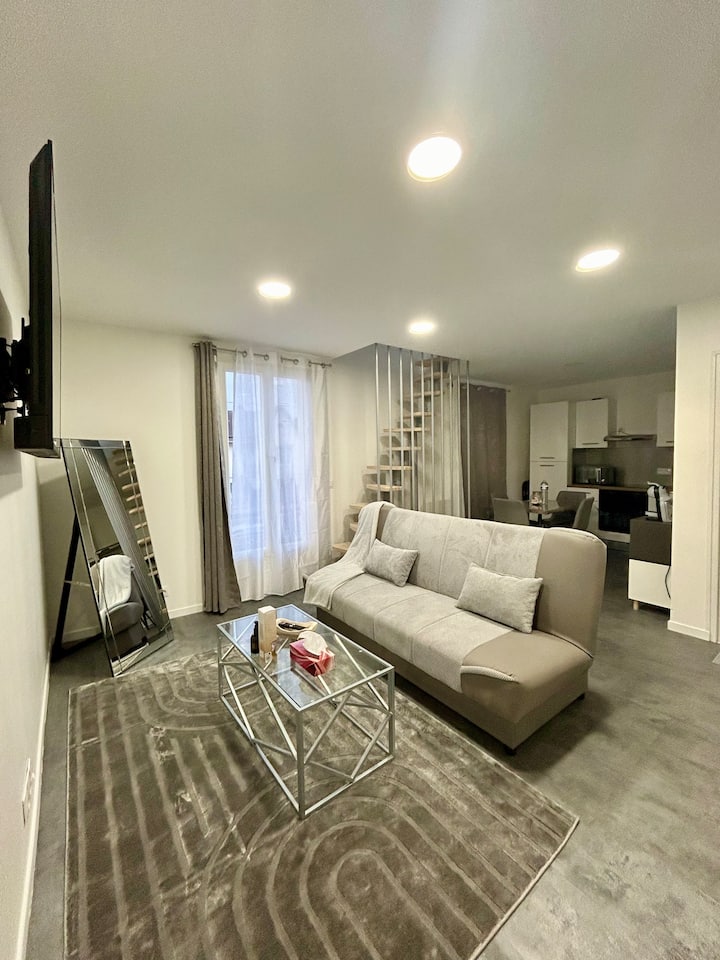 Jolie Duplex Proche Paris Et Aéroport Cdg ! - Gonesse