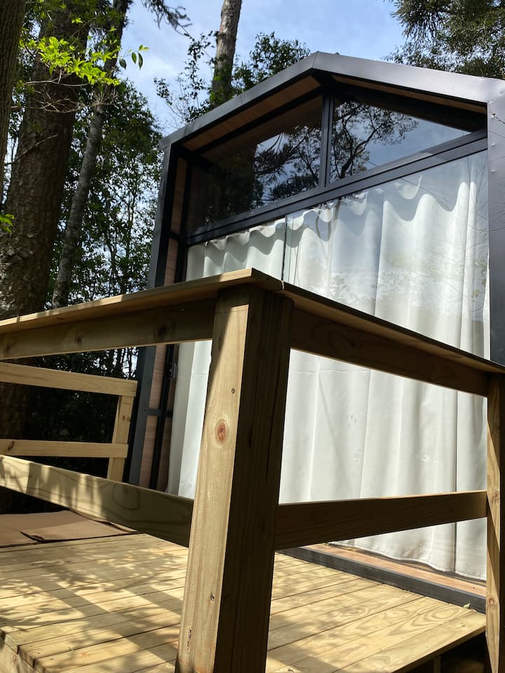 Cabana Da Floresta
Encantada Fee Haus - Dois Irmãos