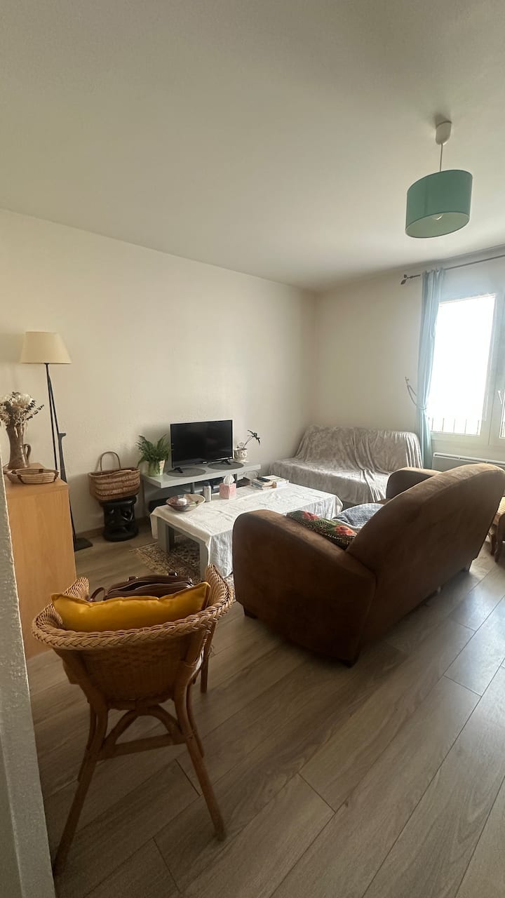 Appartement Centre-ville - Tours