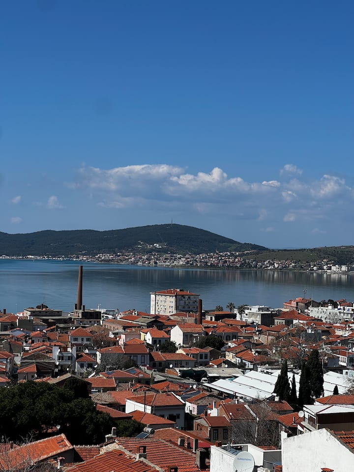 Deniz Manzaralı Daire - Alibey Island