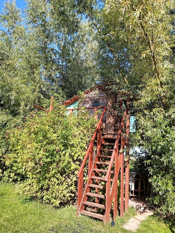 The Sweet Treehouse - Purmerend
