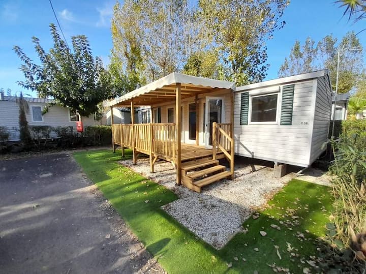 Le Luminosa Des Dhalias Aux Sables Du Midi. - Sérignan