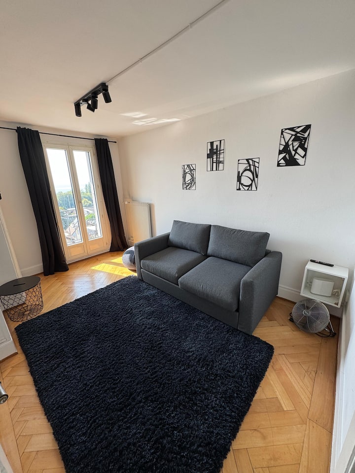 Cosy Apartment In Lausanne-vidy - Renens