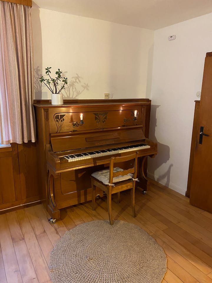 Uriges Bauernhaus Mit Küchenhexe - Bad Fredeburg