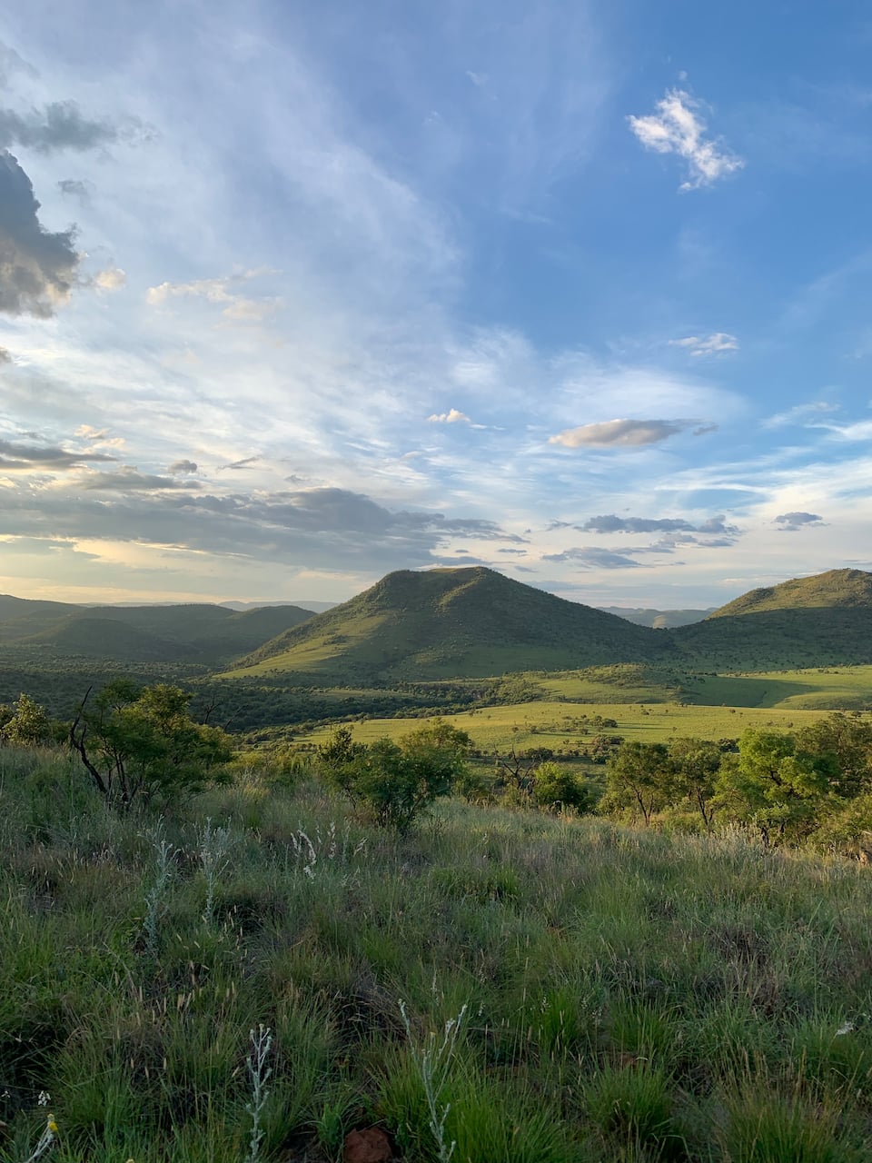 Bushveld View Estate, South Africa Vacation Rentals - Airbnb