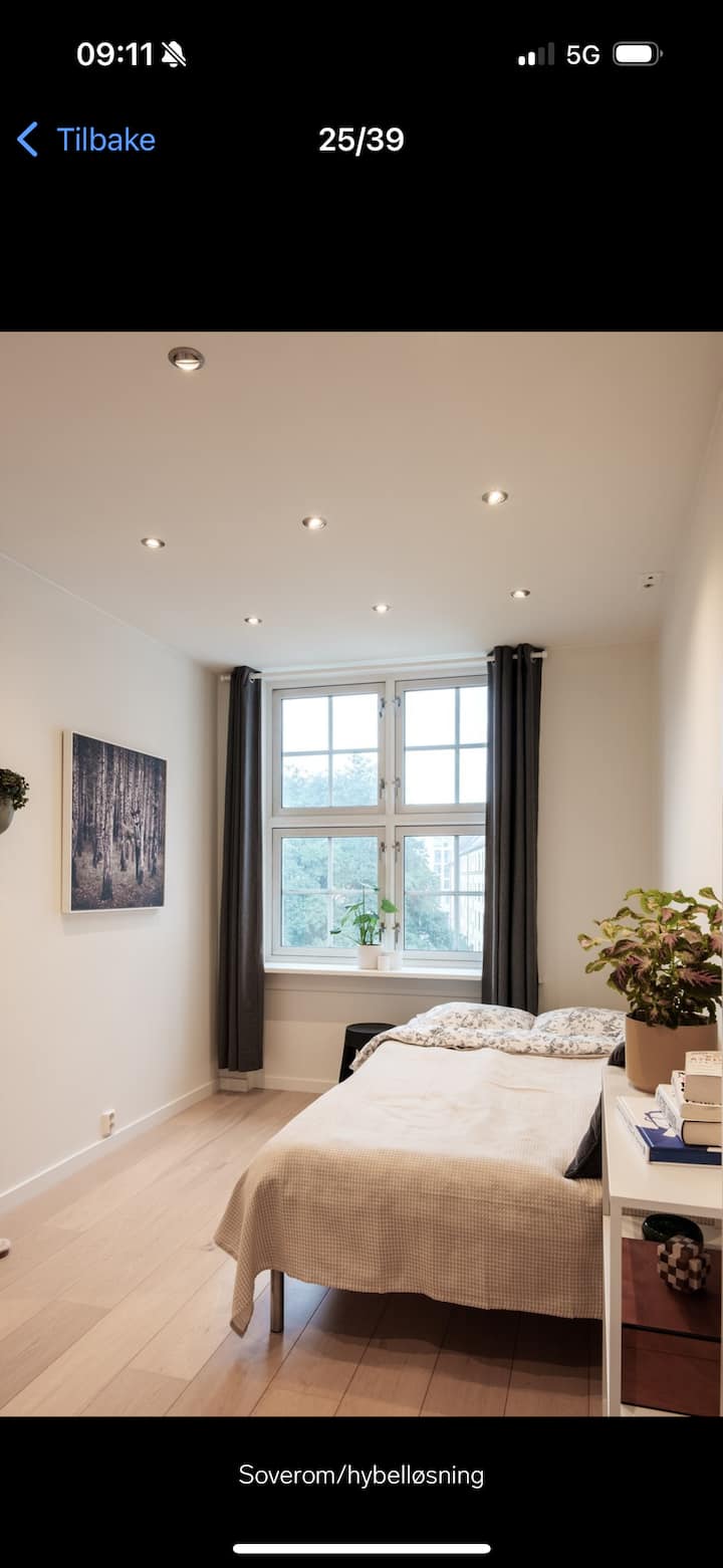 Sentralt Og Stille I Oslo - Oslo