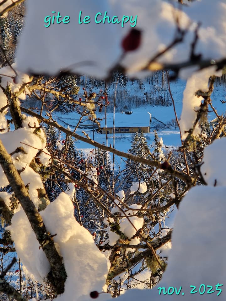 Maison Type Chalet - Lamoura