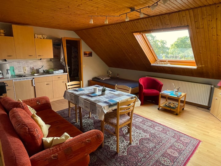 Zentrale Ferienwohnung In Burg 250m Von Altstadt - Fehmarn