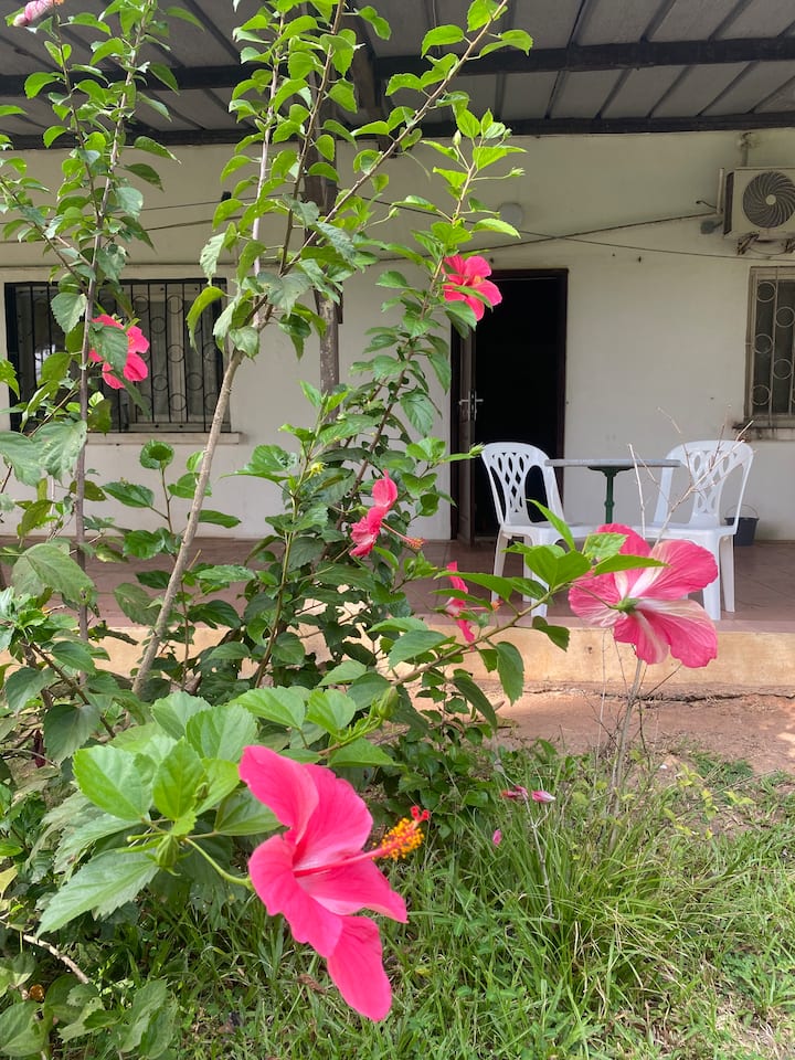 Studio Cosy Avec Mezzanine - Côte d'Ivoire
