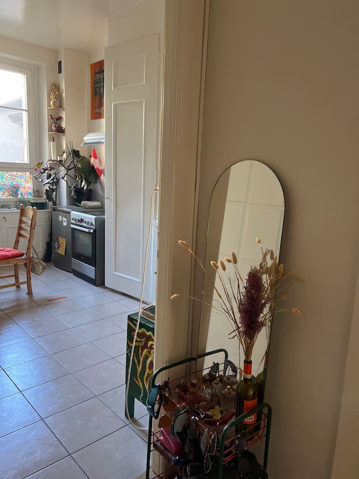 Charmant Appartement Au Centre - Genf
