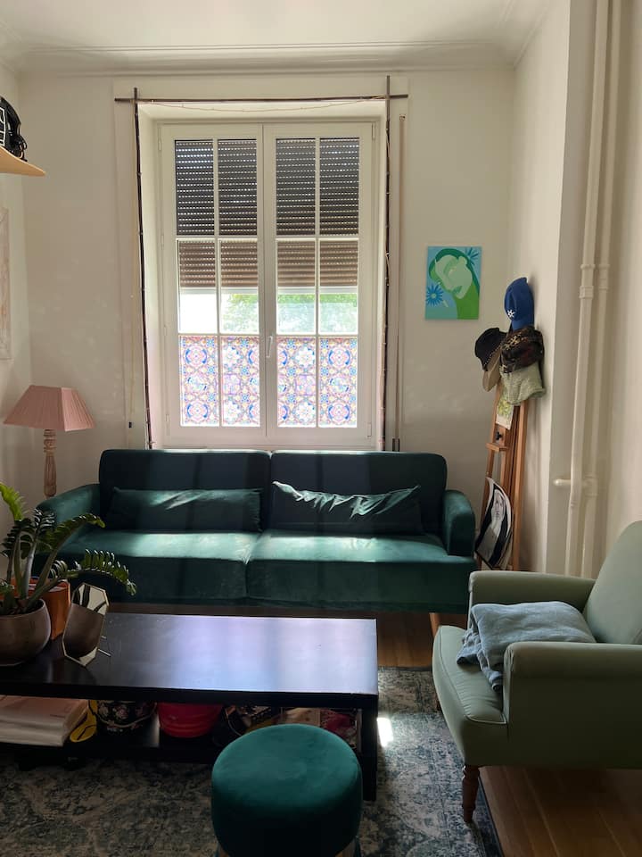 Charmant Appartement Au Centre - Ginebra