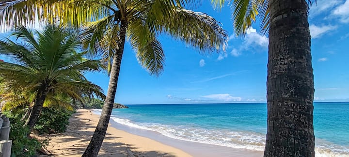 L'althéa  Bleu
à 2min De La Plage - Guadeloupe