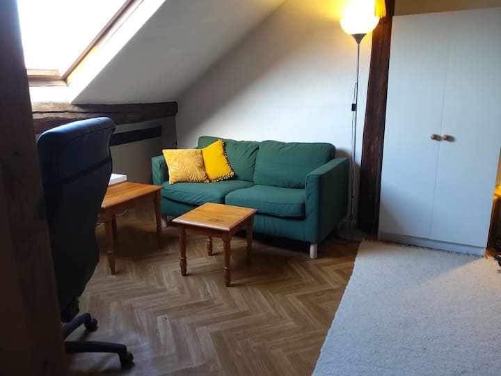 Appartement Mansardé Ensoleillé - Fontainebleau