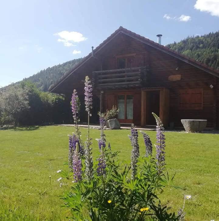 Chalet Canadien Proche Gerardmer - Liézey