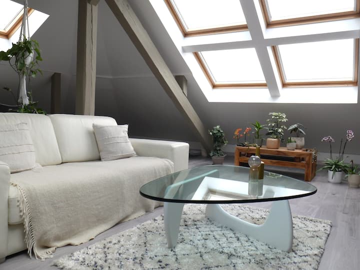 Duplex Vue Sur Les Vosges - Rixheim