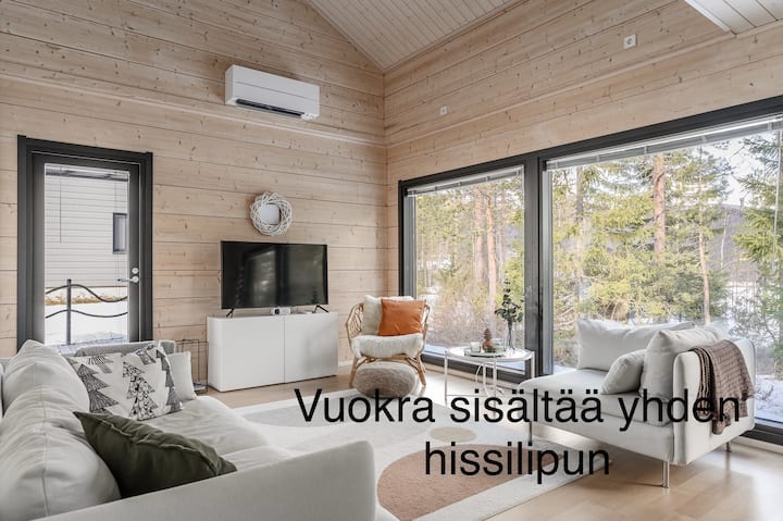 Hirsinen Mökki Iso-syötteellä - Finland