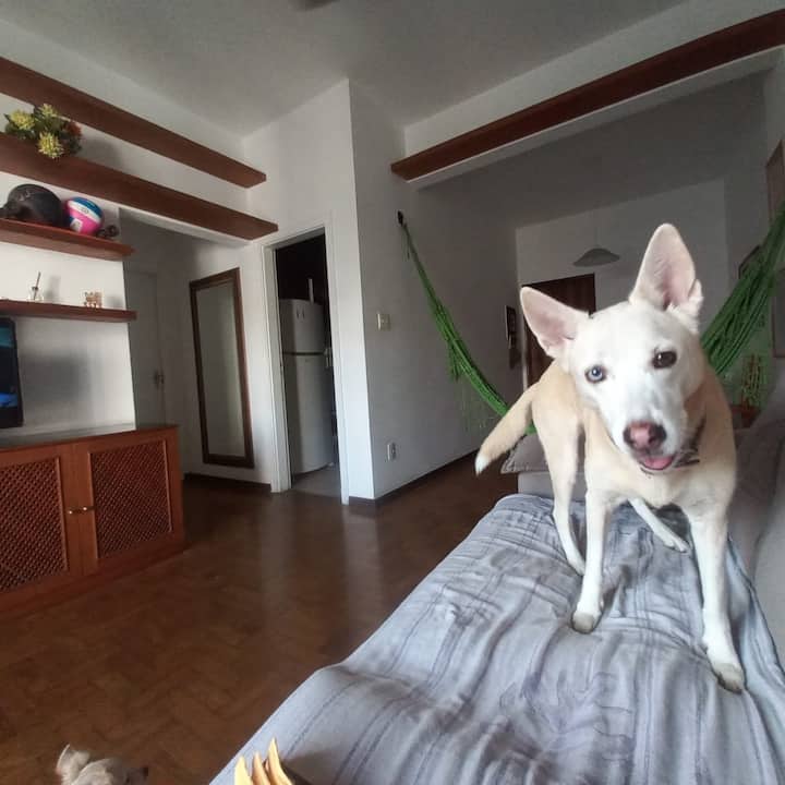 Apartamento Moderno Com Vista Mar E Pet Friendly - São Vicente