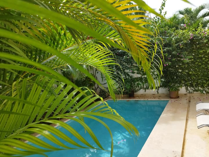 Villa Palmyre, Punta Popy Beach - República Dominicana