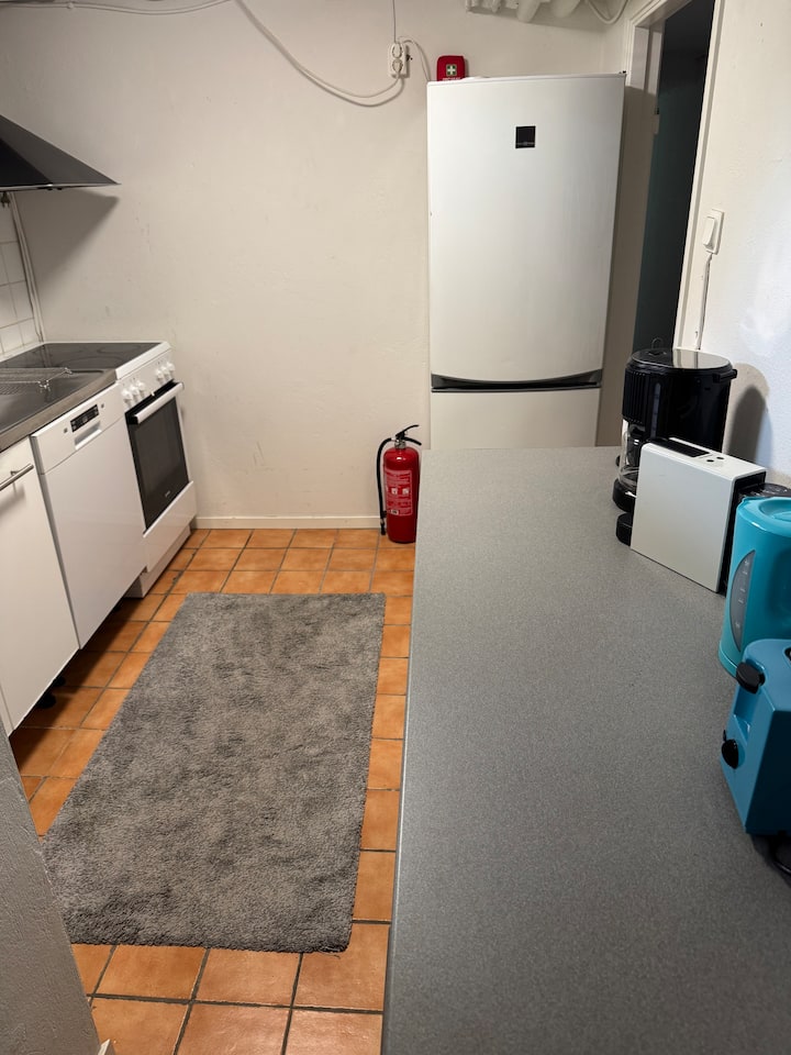 Cozy Big Apartment In Central. - Ängelholm