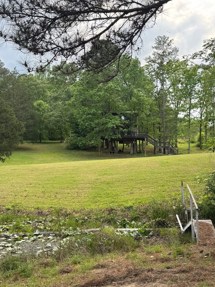Tree House - Alabama