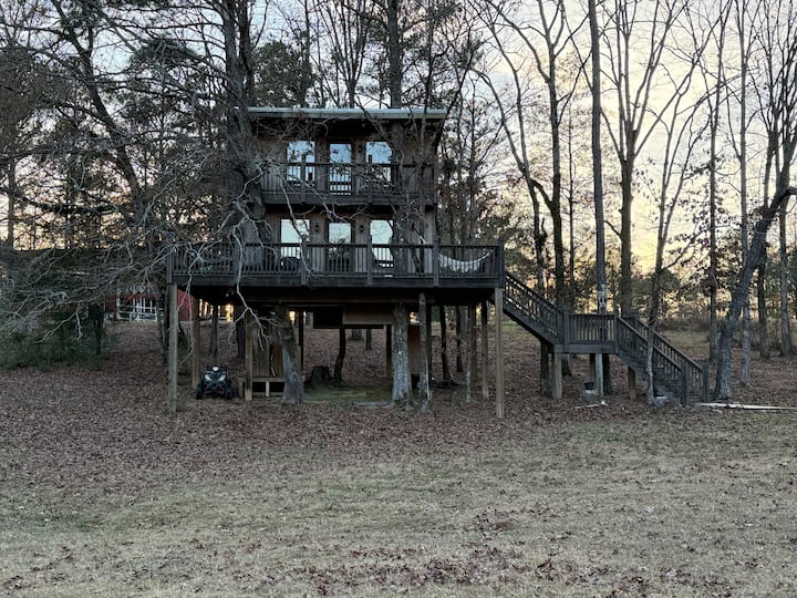 Tree House - Alabama