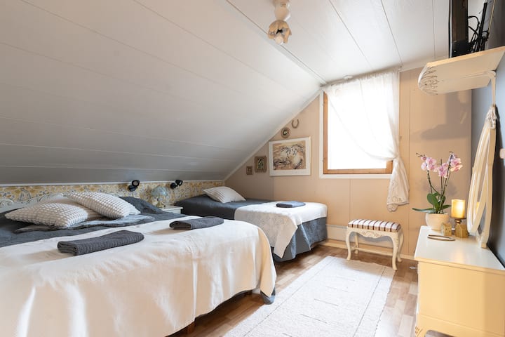 Ainola Arctic Hillside - Rovaniemi