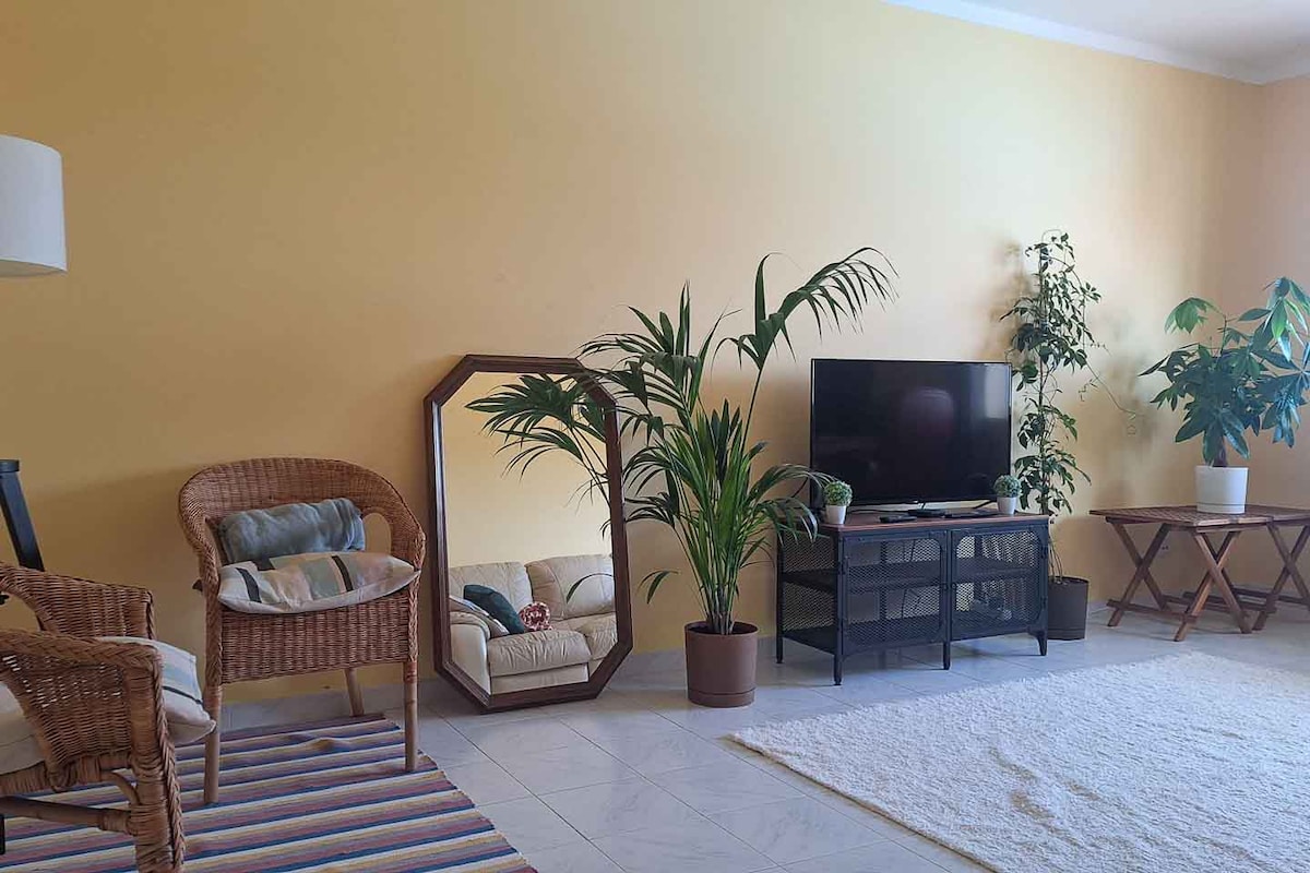 Apartamento Beatriz, Ferrel: 2 dormitorios, balcón - Departamentos en ...