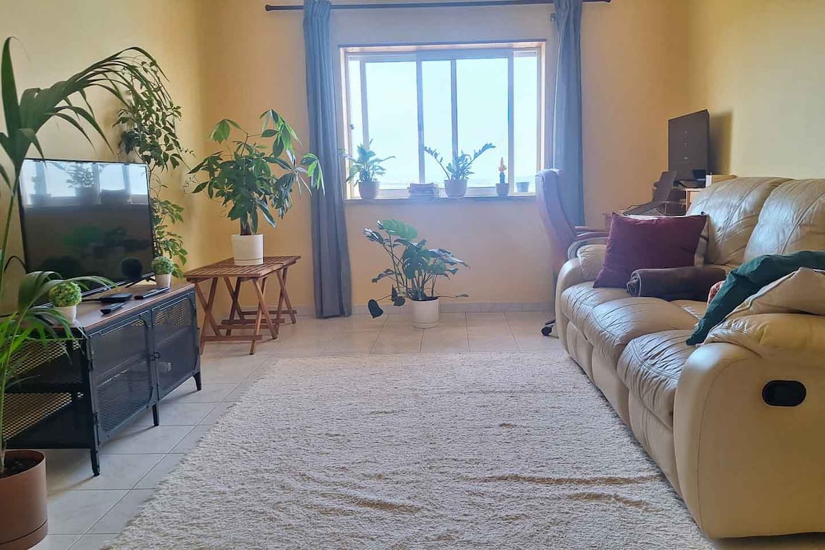 Apartamento Beatriz, Ferrel: 2 dormitorios, balcón - Departamentos en ...