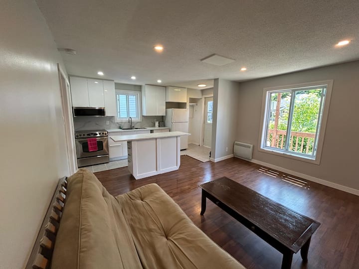 Beautiful 1bdrm Heart Of Hull - Gatineau