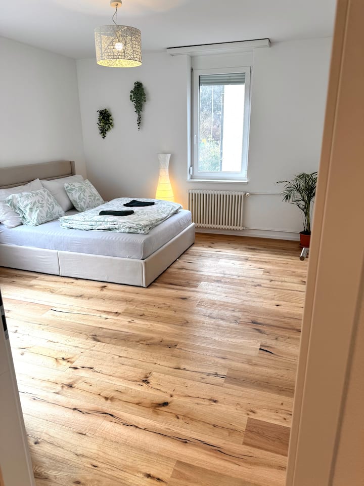 Kingbed, Quiet, Wi-fi, Free Parking - Saint-Gall