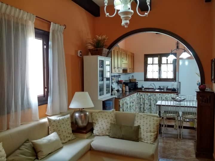 Mi Casita - Ingenio