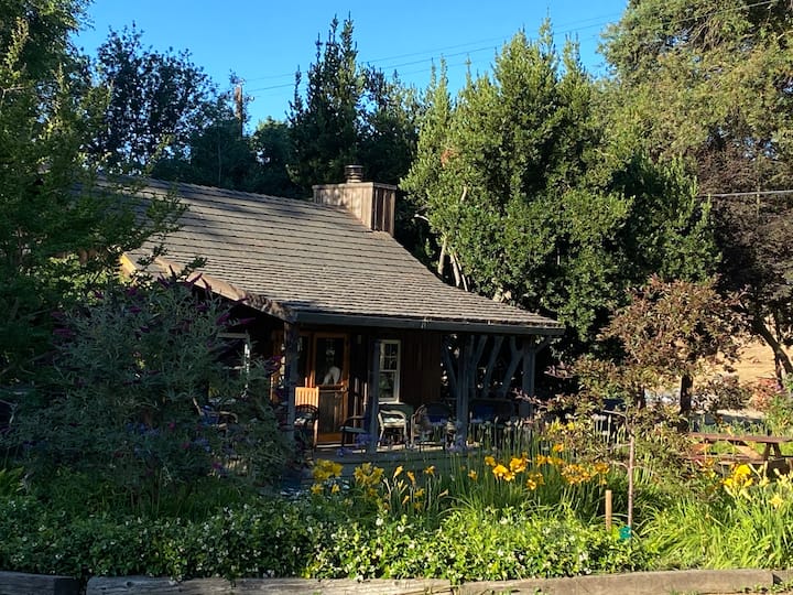 Rustic Cabin + Glamping Tent At Vineyard Retreat - California