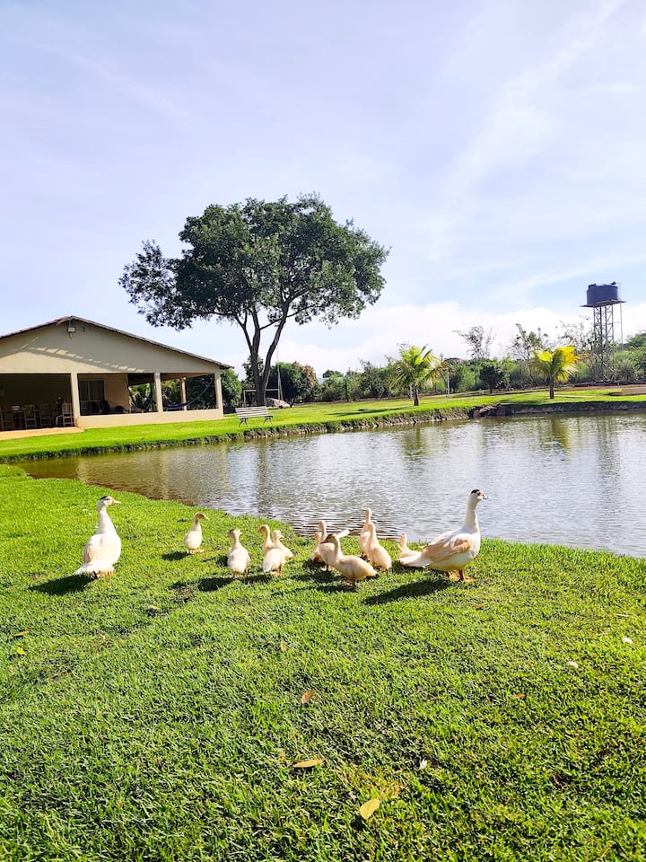 Sítio Manancial - Goiás (estado)