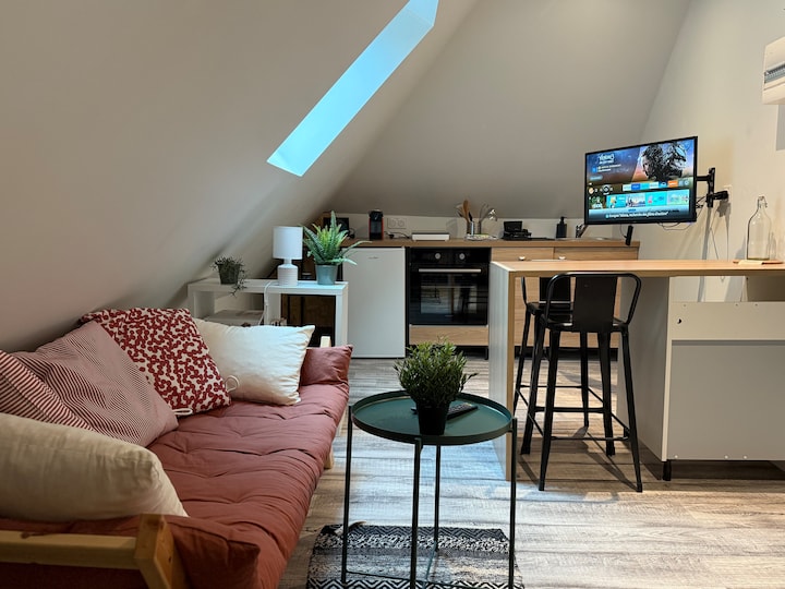 Studio De La Côte - Chambon-sur-Lac