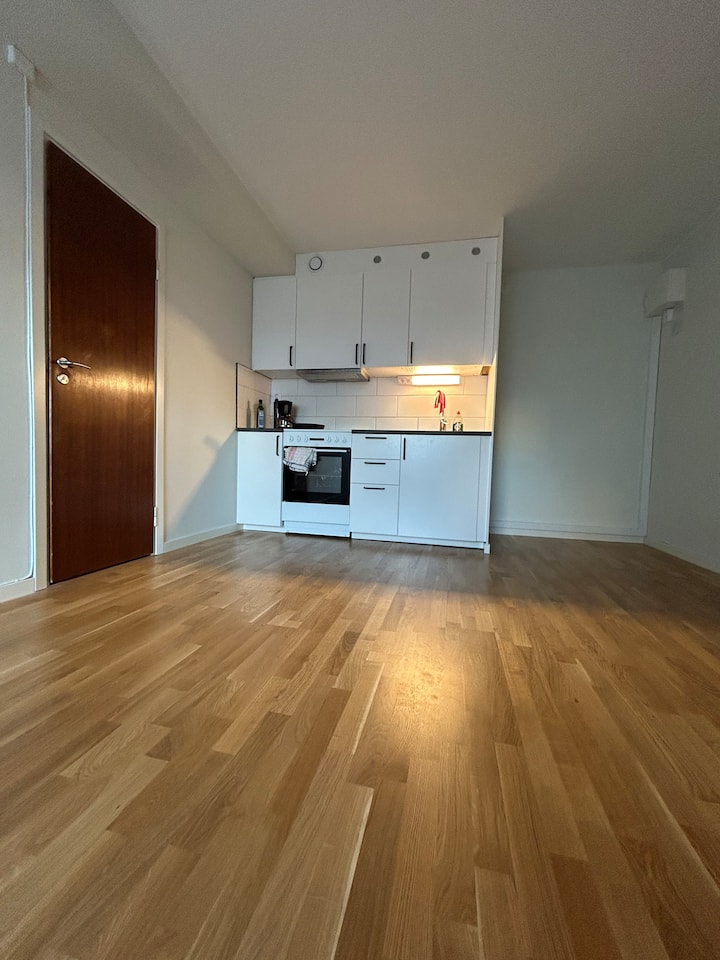 Minimalistic Studio Apartment - Härnösand