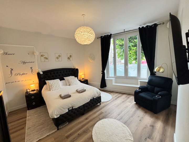 Appart 1, 60m2 Avec Clim Et Terrasse Avenue Baudin - Limoges