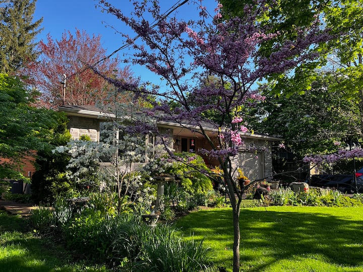 Cozy 1br Apt W/ Private Entrance | Walk To U Of G - Guelph