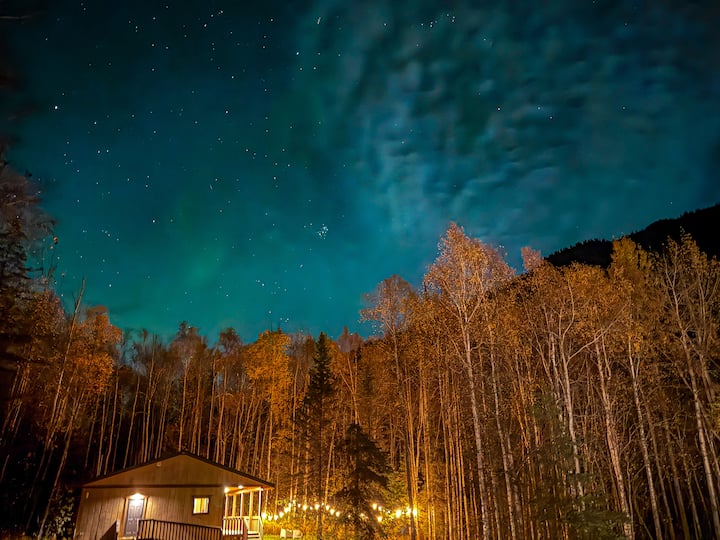 Cozy Bungalow In The Woods - Alaska