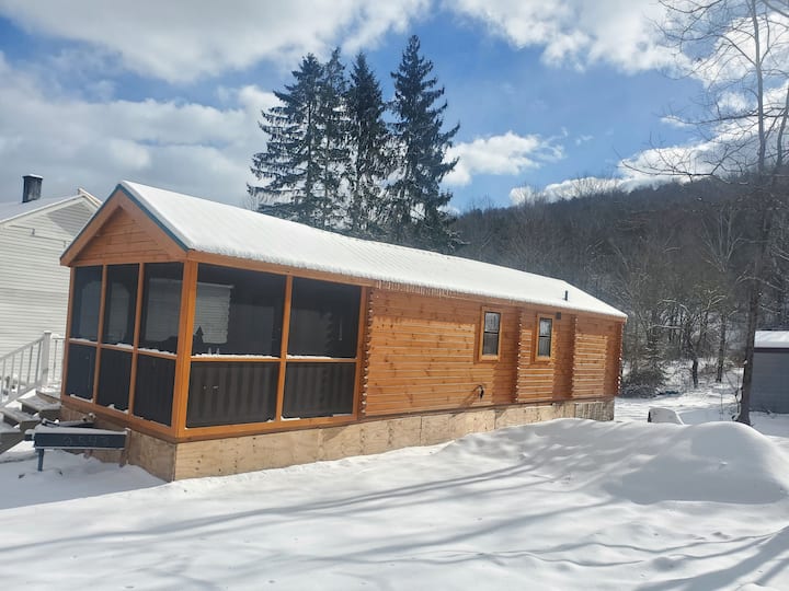 Cabin- Cozy, Quiet, Wooded & Private Hot Tub - Lackawanna state park, Dalton