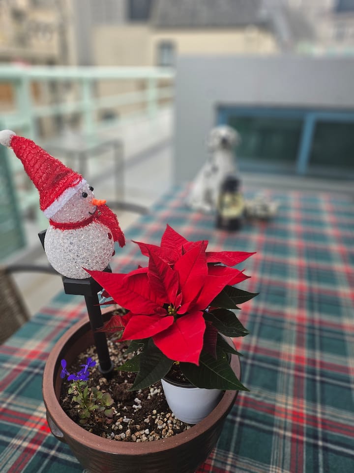 A.studio 홍대역 루프탑있는 집전체 - Seoul