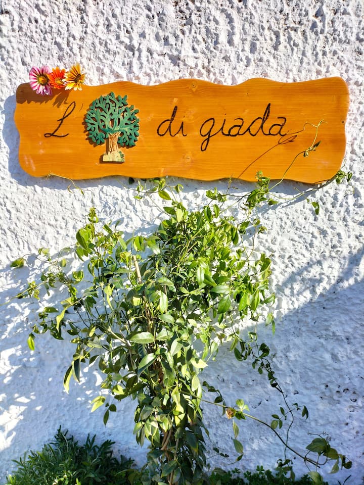 L'albero Di Giada - Sorso