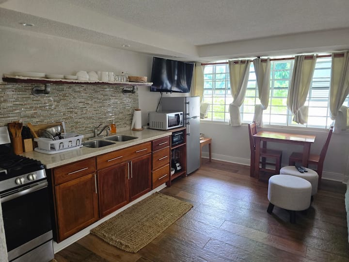 The Tropical Rose Apt B - Roseau