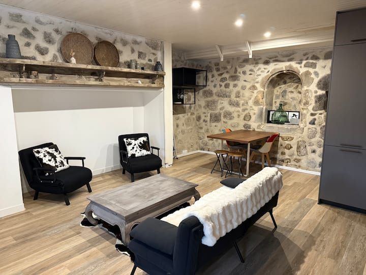 Maison 3-4 Pers, Entre Le Lioran Et Vic-sur-cère - Le Lioran (Super Lioran)